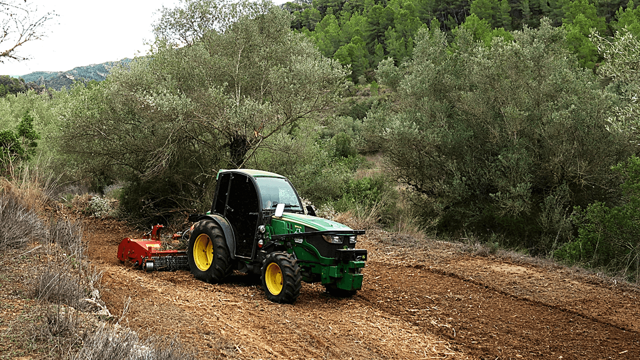 Clearing Our Abandoned Land in Spain with a Tractor