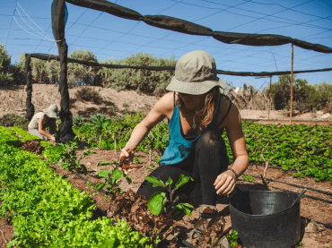 11 Things to Know Before You Join WWOOF in Spain